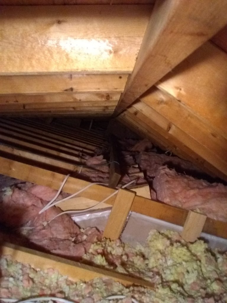 Signs You Need to Replace Your Attic Insulation - Wildlifeshield.ca